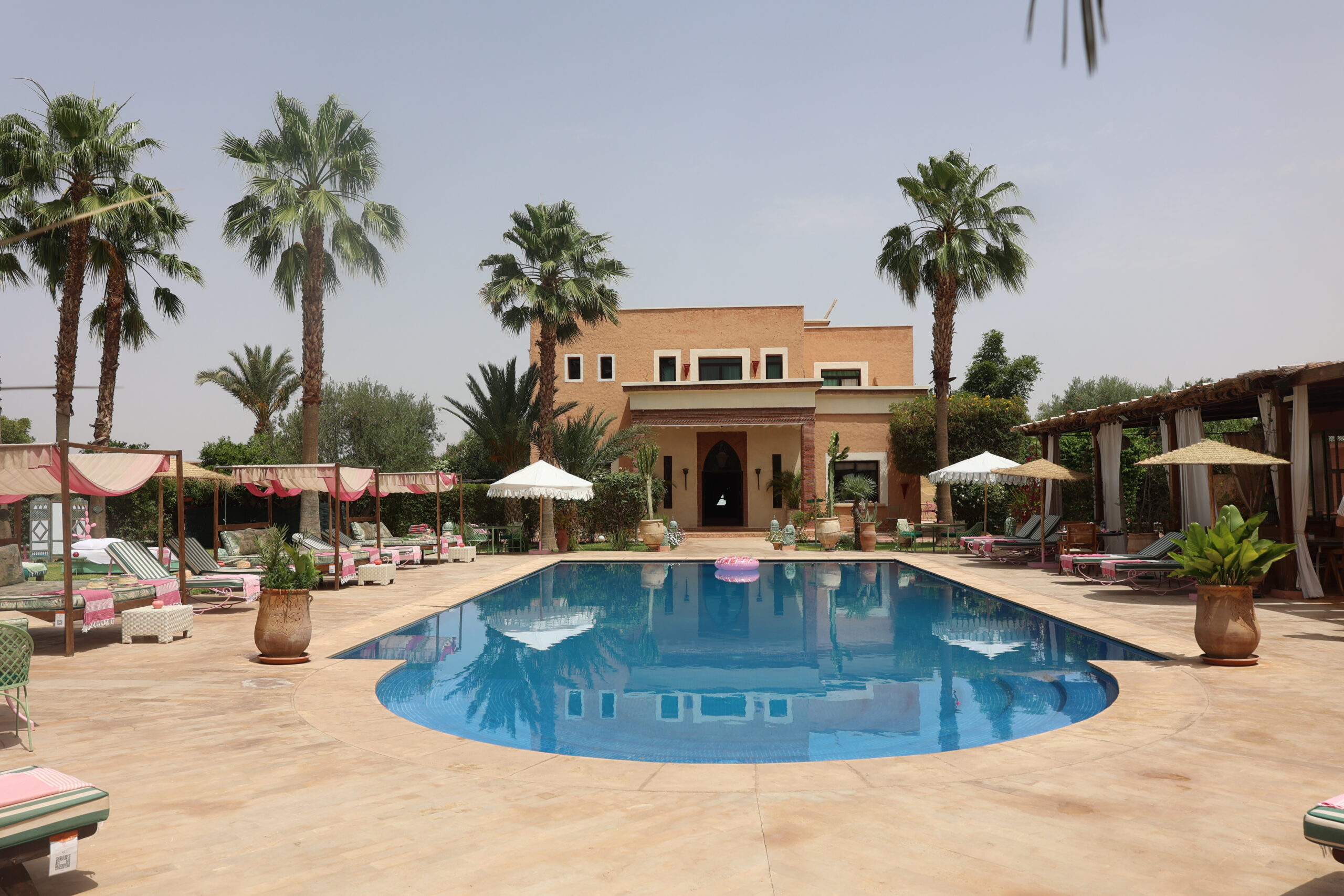 Pink Cactus - Marrakech Best Of